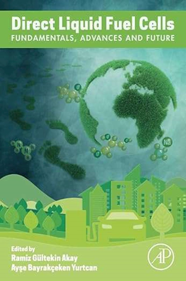 Direct Liquid Fuel Cells-Fundamentals, Advances and Future - Welcome to ...